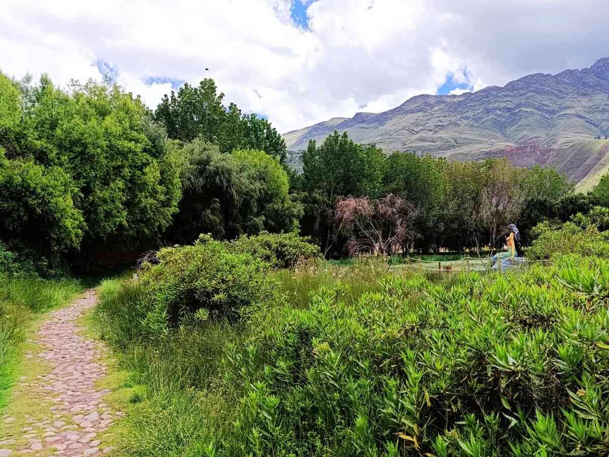 Humedal de Huasao Cusco: Arte y Diversidad en un solo lugar